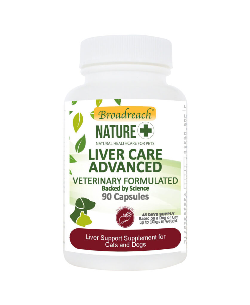 Liver Care Advanced for Dogs, Cats, Puppies and Kittens – 30 and 90 ...