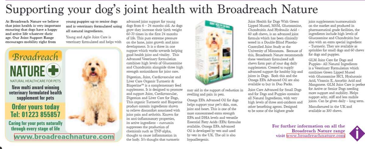 Our Dogs Article: Supporting your dog’s joint health – Broadreach Nature